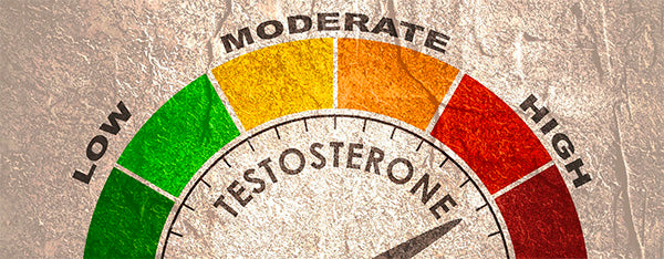 Testing your Testosterone levels – Private Blood Tests