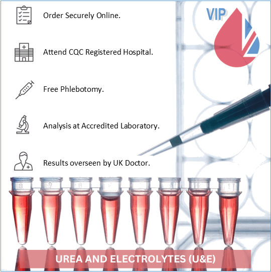 Urea and Electrolytes (U&E) – Private Blood Tests